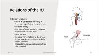 Anatomy of Hip Joint with its ligament.pdf