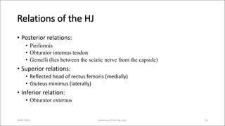 Anatomy of Hip Joint with its ligament.pdf