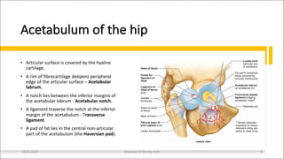 Anatomy of Hip Joint with its ligament.pdf