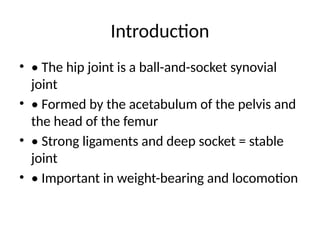 Anatomy_of_Hip_Joint_Radiologyfdssdffsssss | PPTX