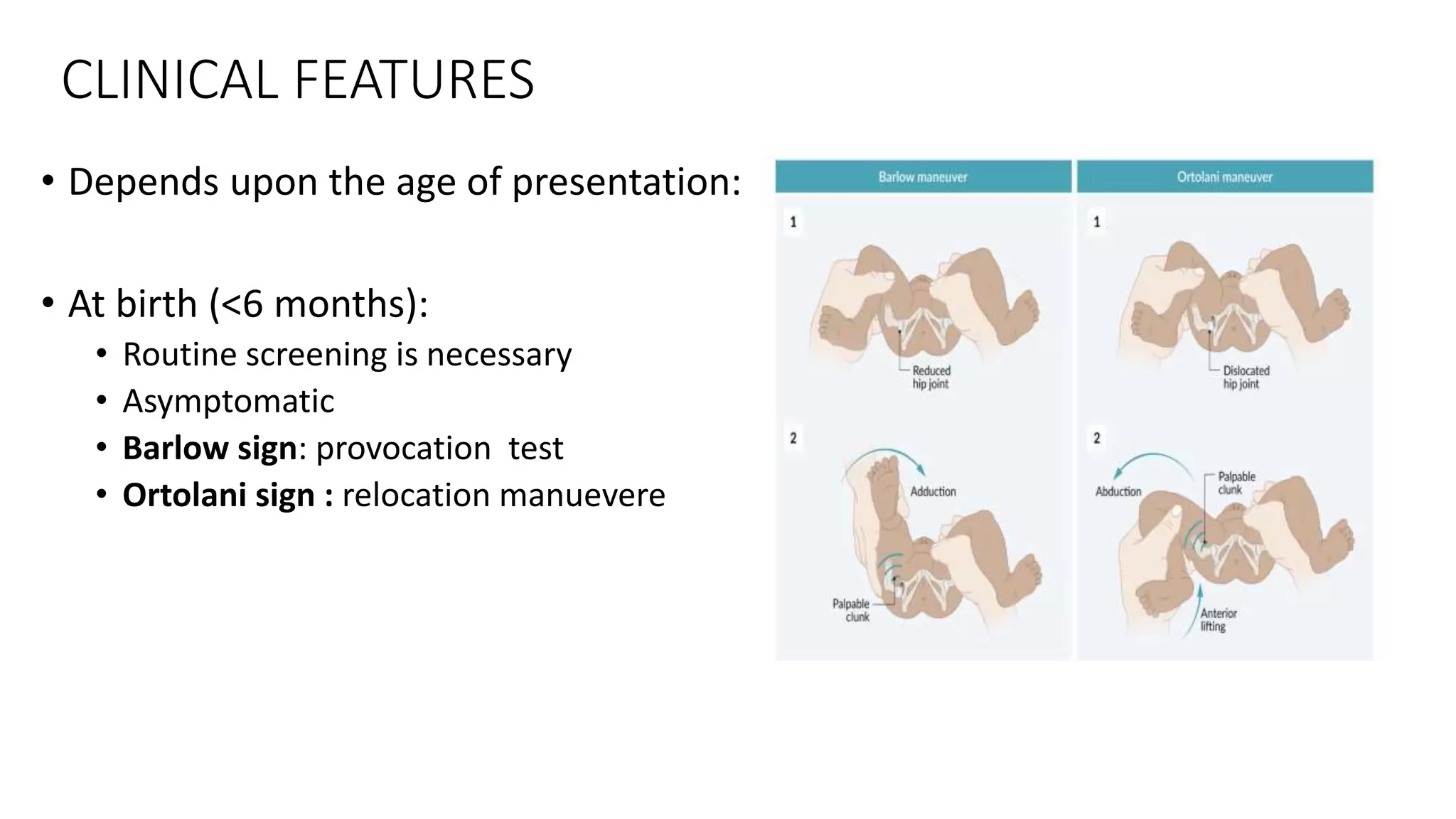 ANATOMY OF HIP JOINT , ROM & DDH.pptx