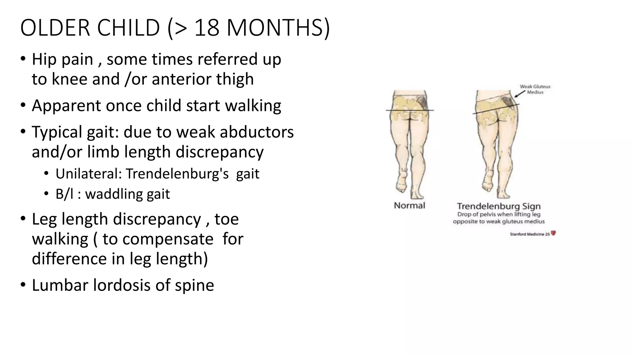 ANATOMY OF HIP JOINT , ROM & DDH.pptx