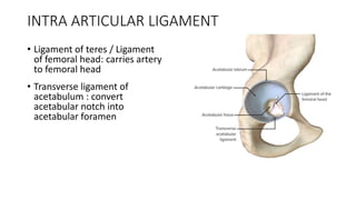 ANATOMY OF HIP JOINT , ROM & DDH.pptx