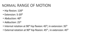 ANATOMY OF HIP JOINT , ROM & DDH.pptx