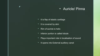 anatomy of human ear and its disease with parts | PPTX