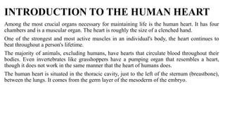 Anatomy of Human Heart | PPTX