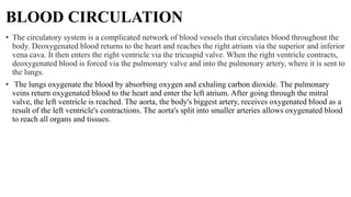 Anatomy of Human Heart | PPTX