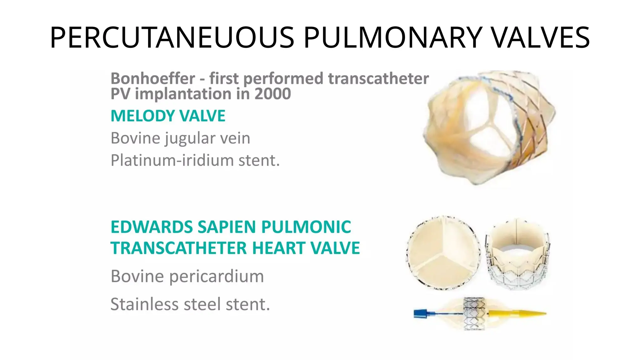 Anatomy of human heart valve and structure.pptx