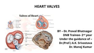 Anatomy of human heart valve and structure.pptx