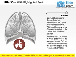 Anatomy of human lungs medical images for power point | PDF