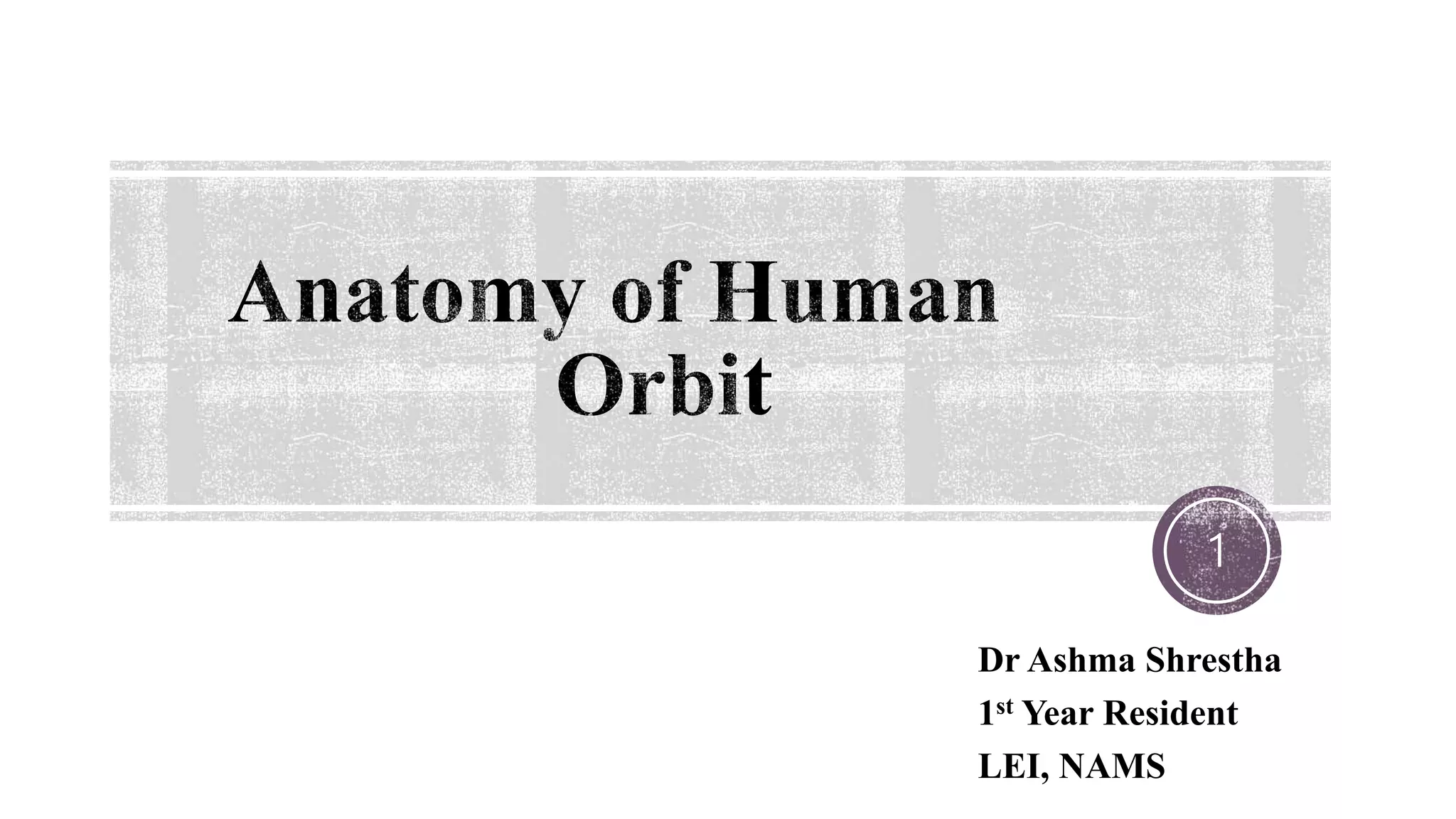 Anatomy of human orbit | PPTX