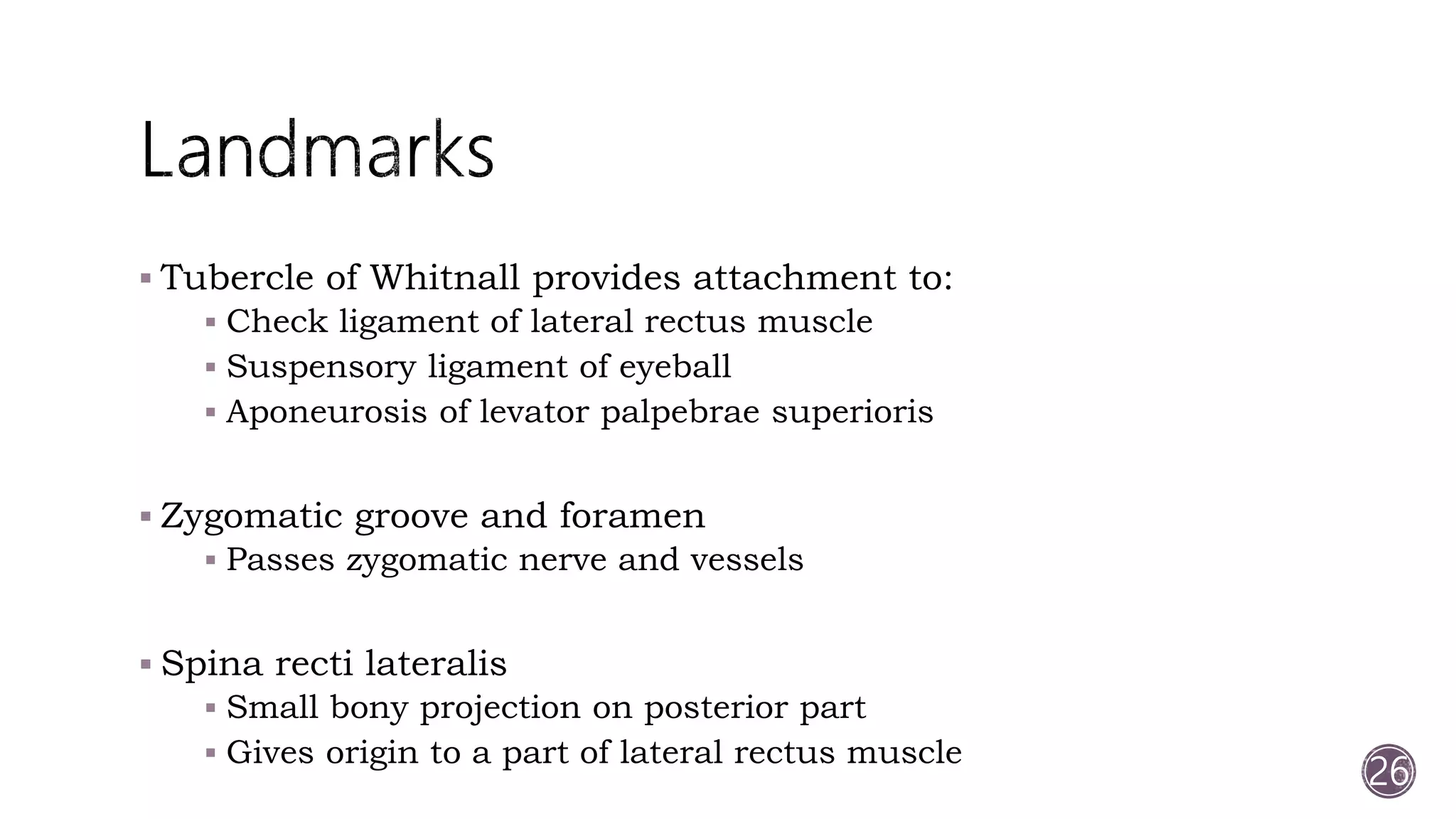 Anatomy of human orbit | PPTX