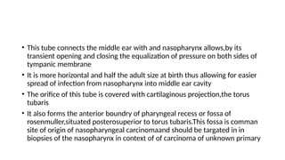 anatomy of hypo and nasopharynx by me .pptx