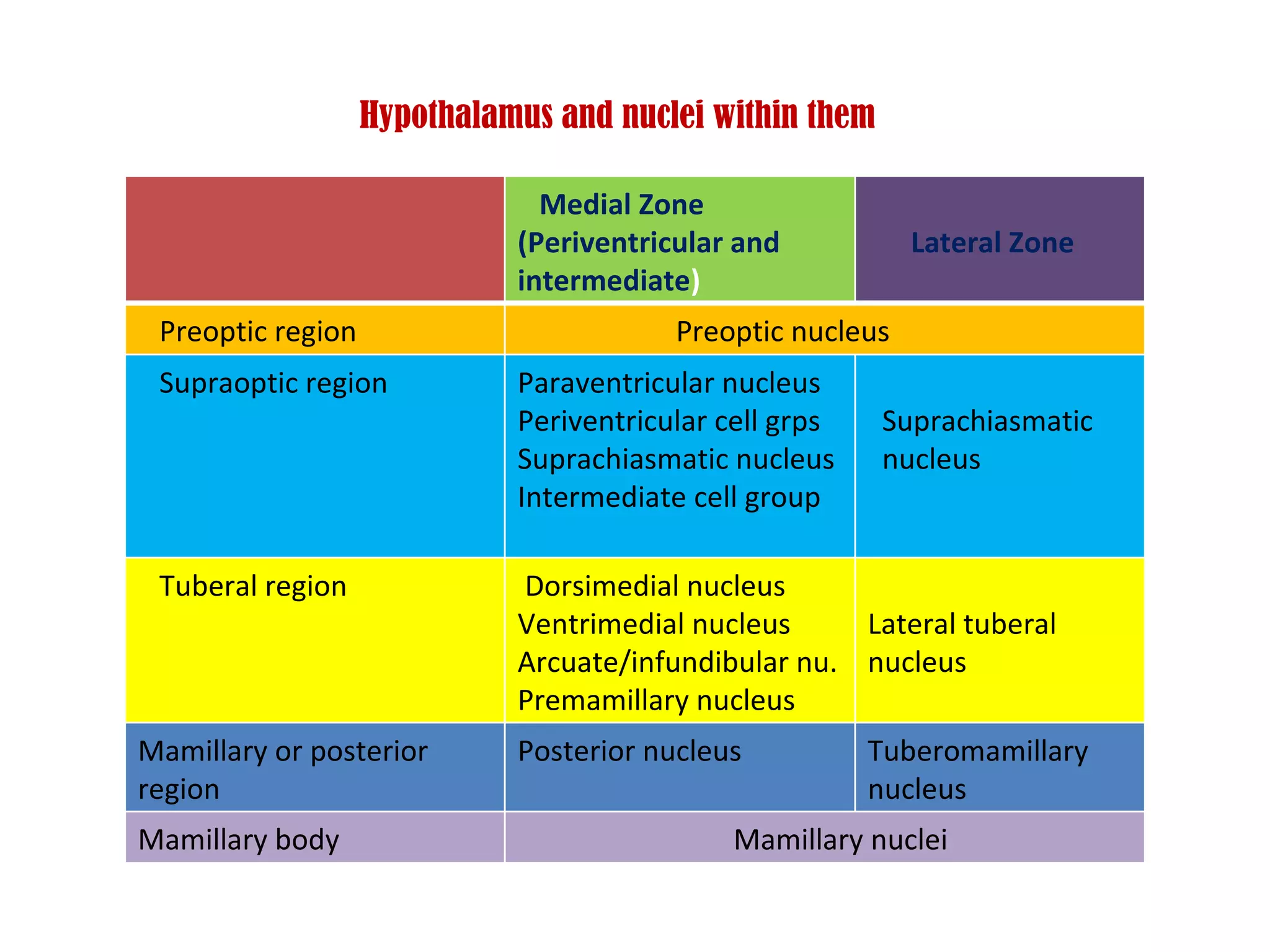 Anatomy of hypothalamus n limbic system | PPT