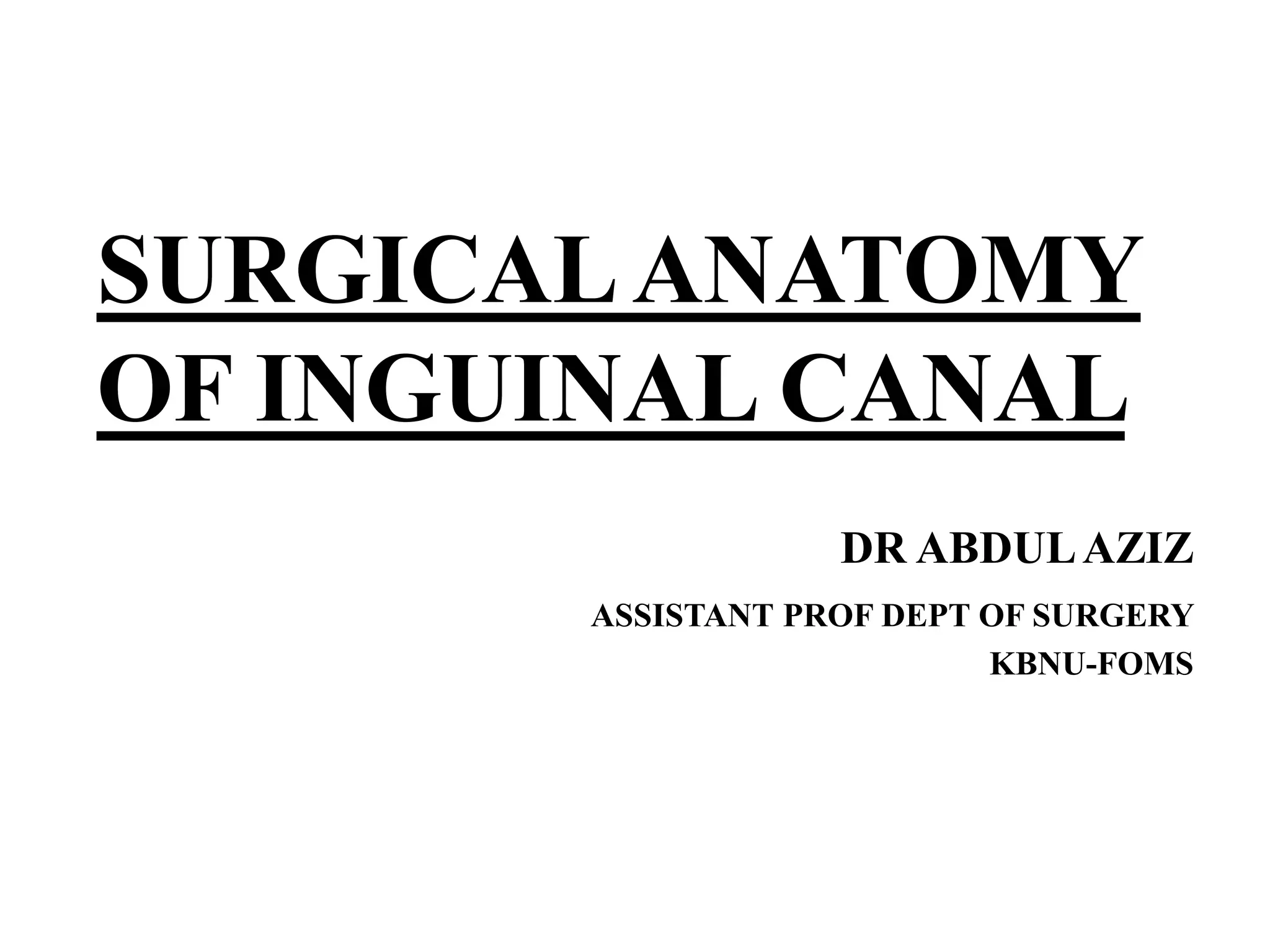 anatomy of inguinal canal and abdominal incisions | PPT