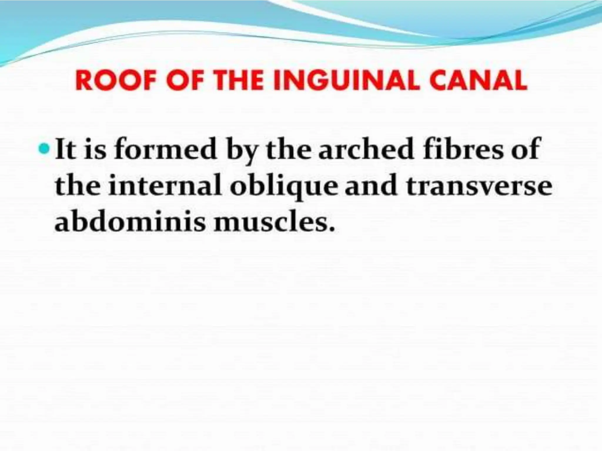 anatomy of inguinal canal and abdominal incisions | PPT