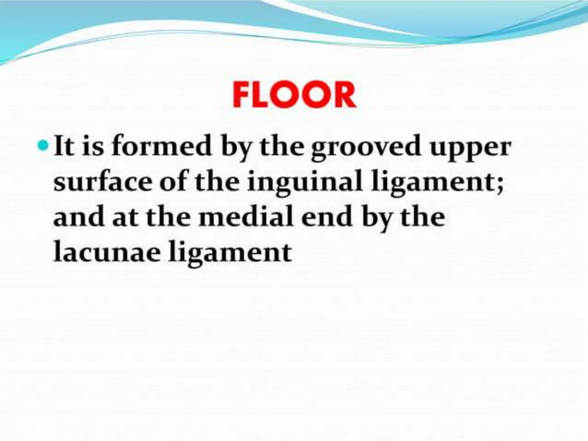anatomy of inguinal canal and abdominal incisions | PPT
