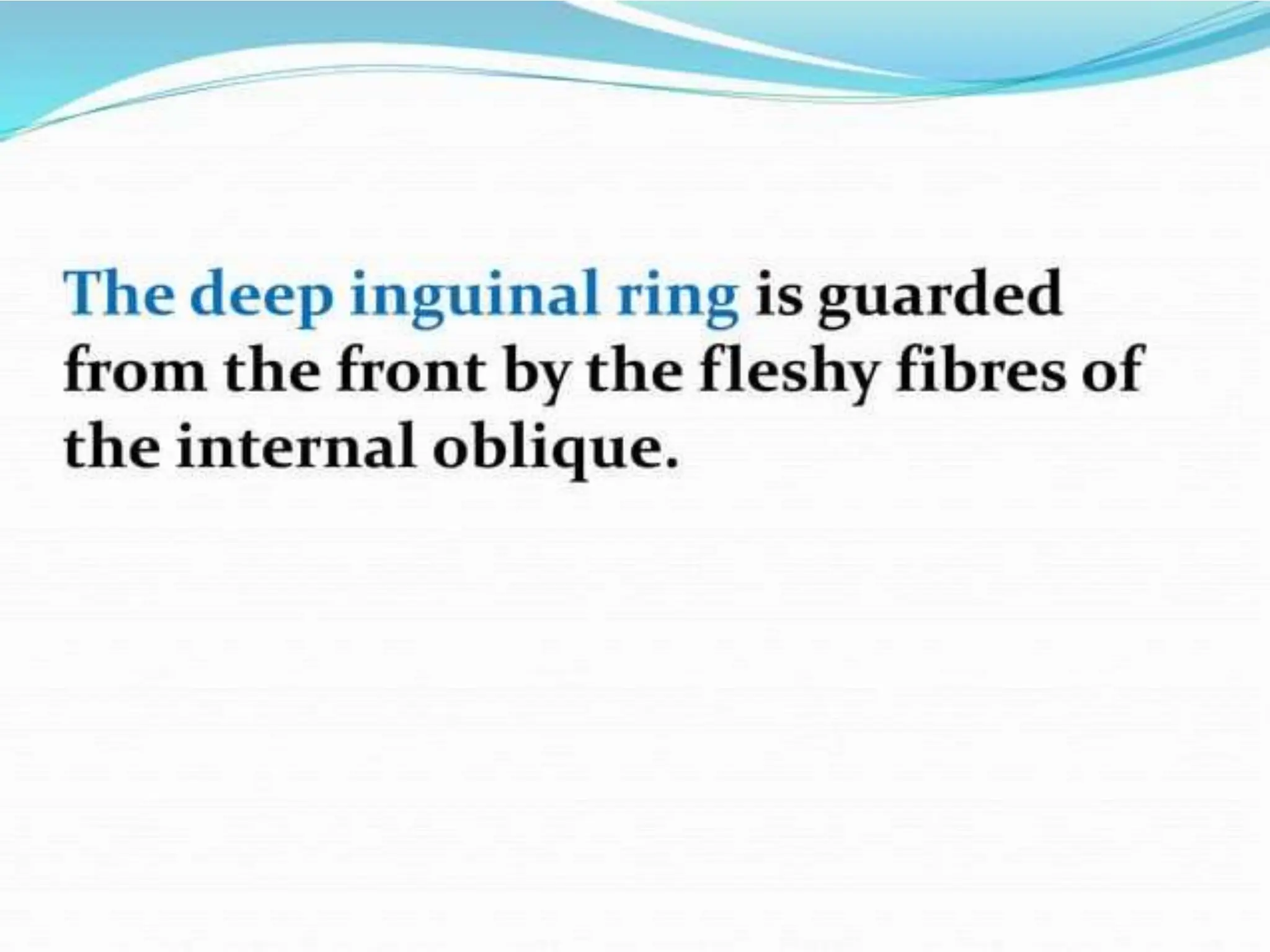 anatomy of inguinal canal and abdominal incisions | PPT
