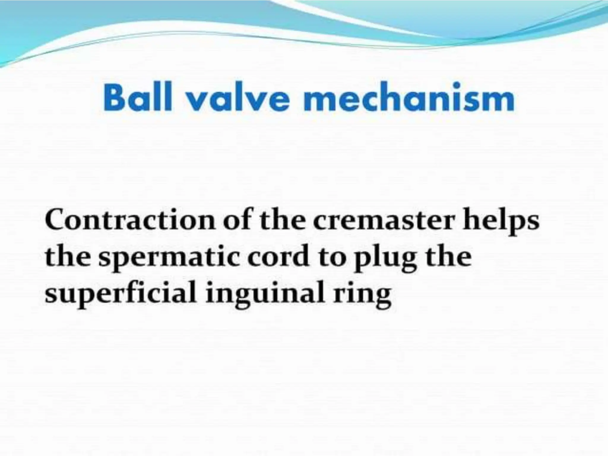 anatomy of inguinal canal and abdominal incisions | PPTX