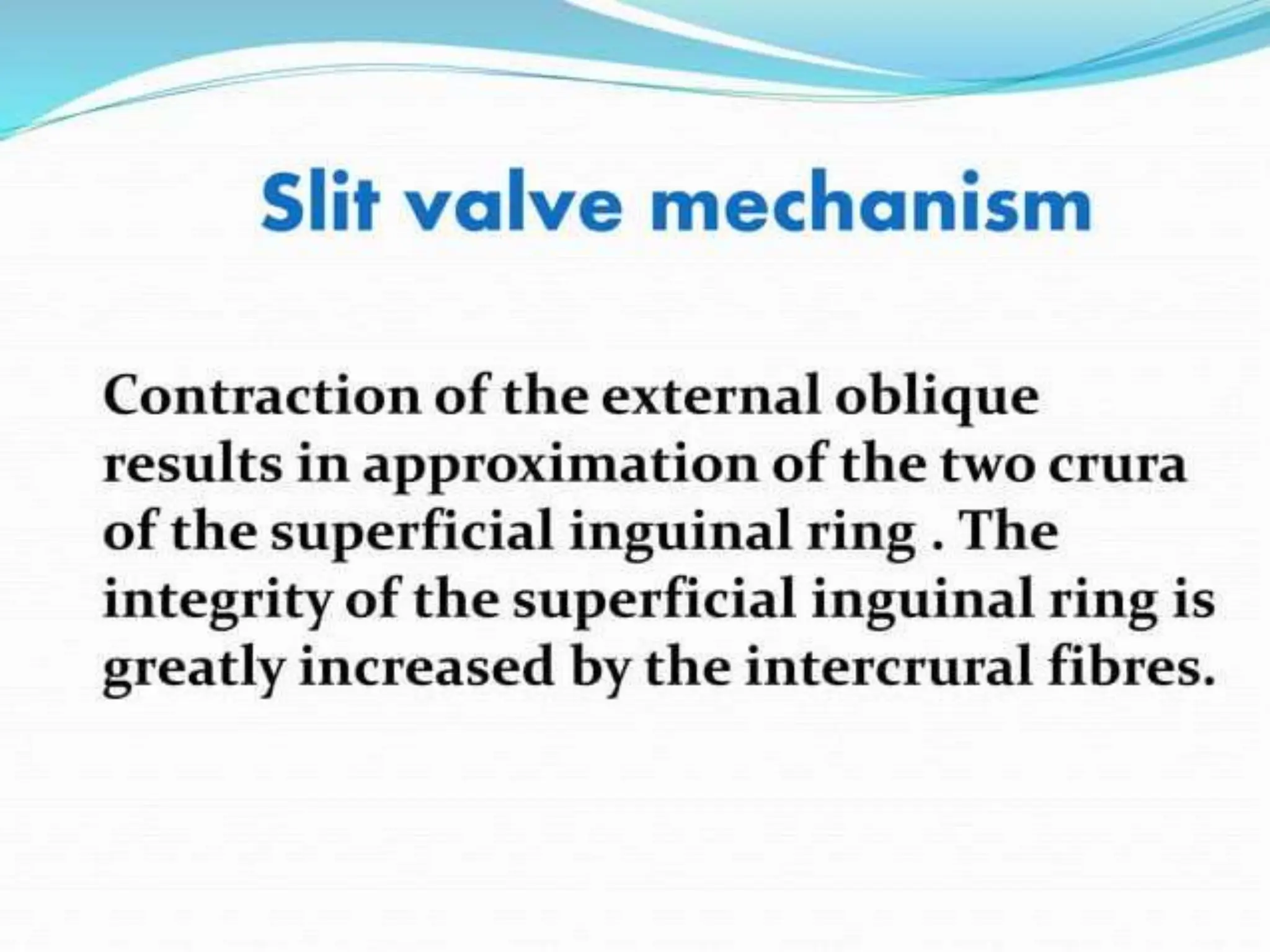 anatomy of inguinal canal and abdominal incisions | PPTX