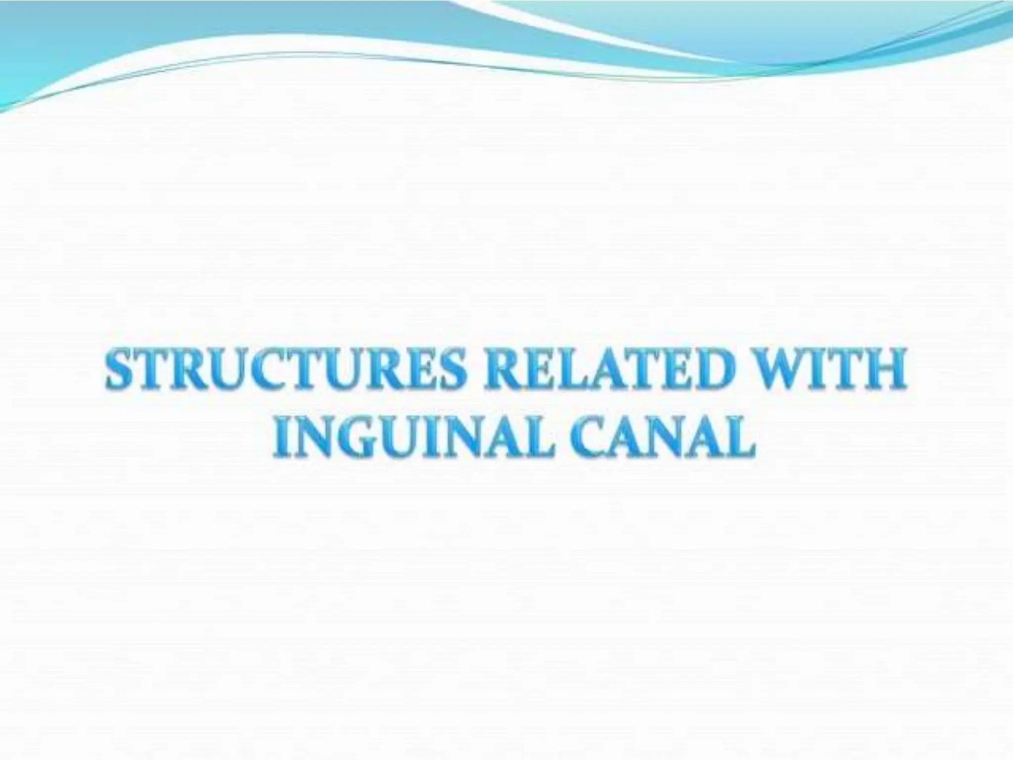 anatomy of inguinal canal and abdominal incisions | PPT