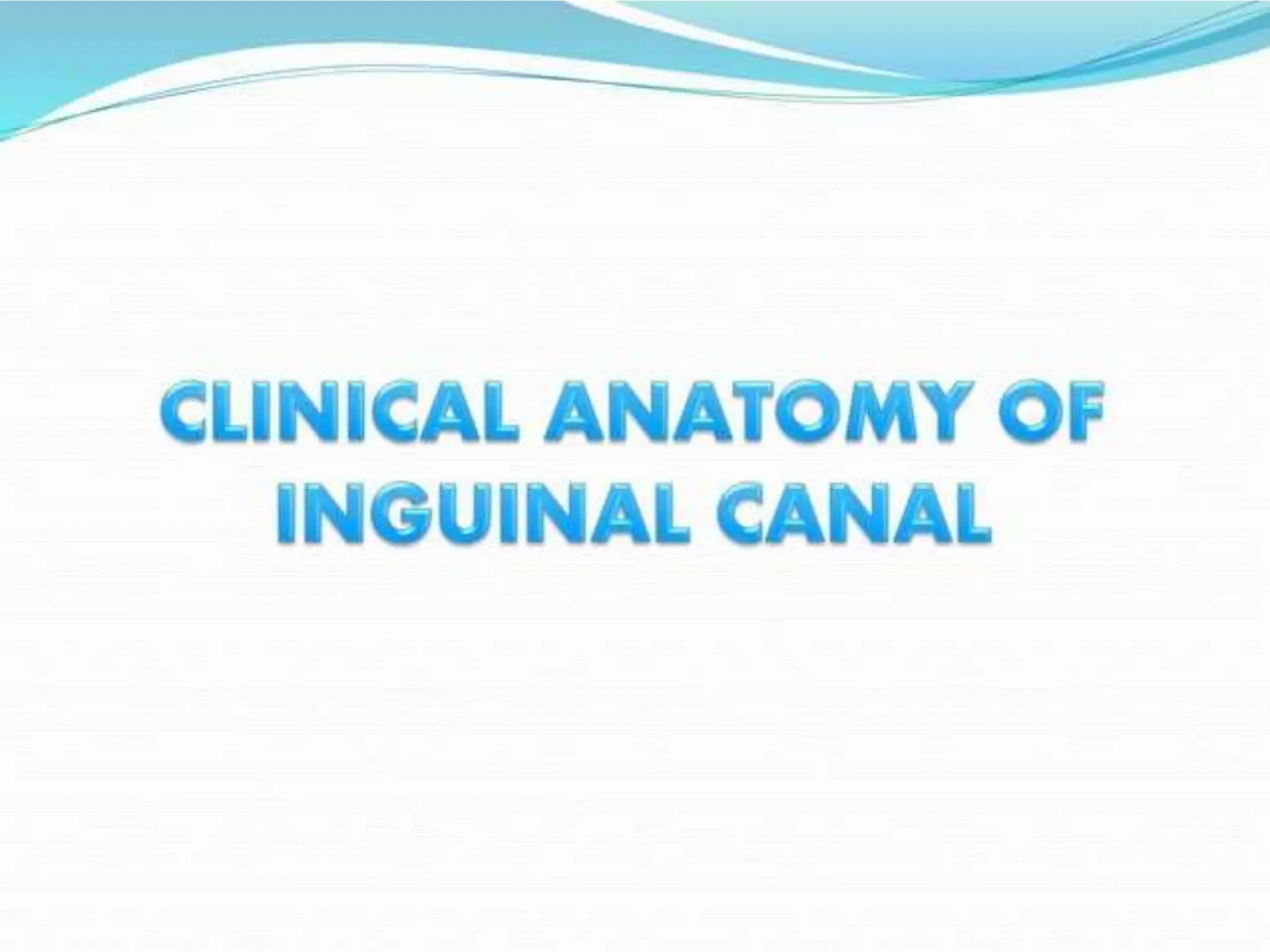 anatomy of inguinal canal and abdominal incisions | PPT