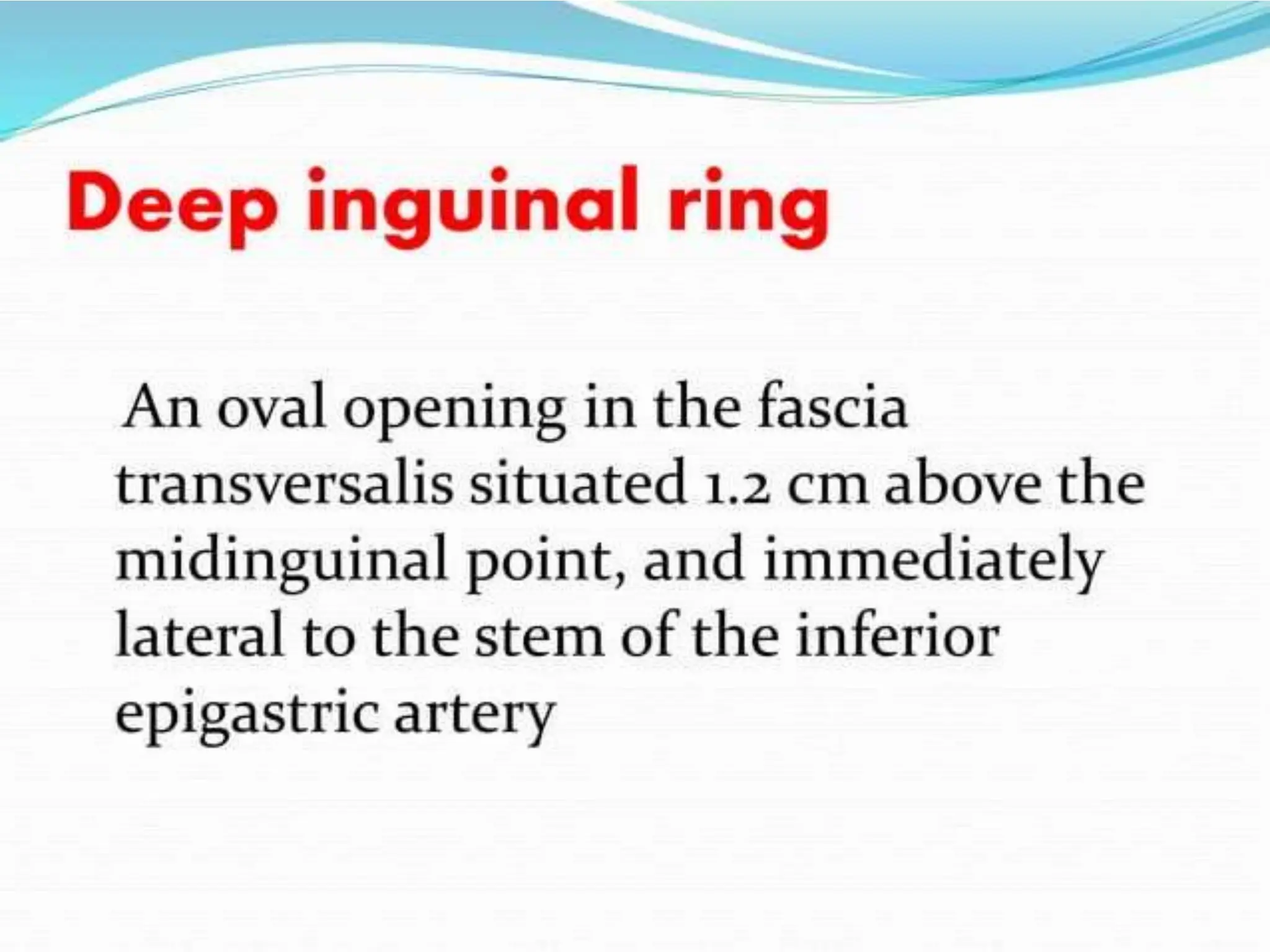 anatomy of inguinal canal and abdominal incisions | PPT