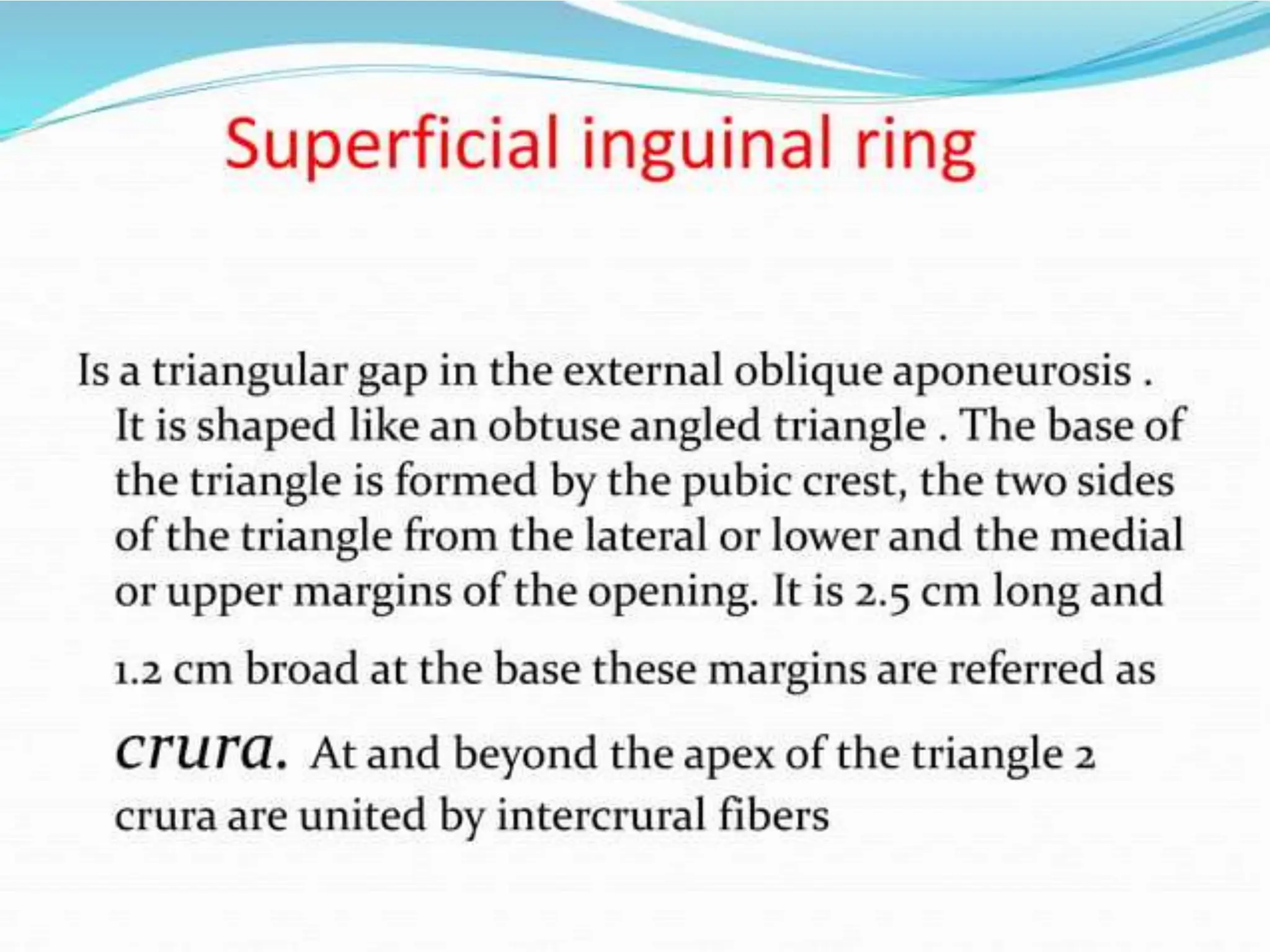 anatomy of inguinal canal and abdominal incisions | PPTX