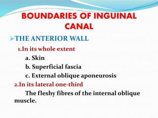 anatomy of inguinal canal and abdominal incisions | PPTX