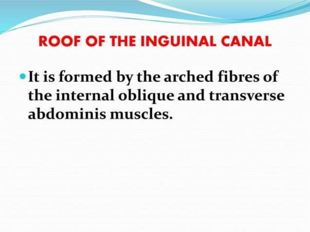 anatomy of inguinal canal and abdominal incisions | PPTX