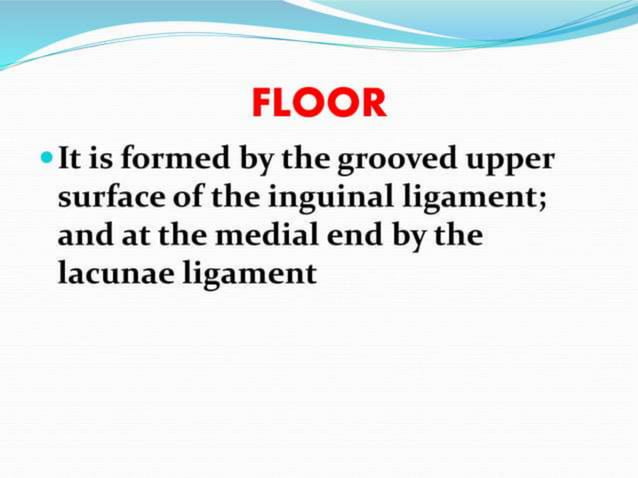 anatomy of inguinal canal and abdominal incisions | PPT