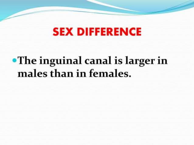 anatomy of inguinal canal and abdominal incisions | PPT