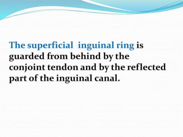 anatomy of inguinal canal and abdominal incisions | PPT
