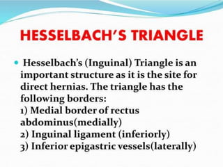 anatomy of inguinal canal and abdominal incisions | PPTX
