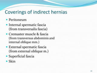 anatomy of inguinal canal and abdominal incisions | PPTX