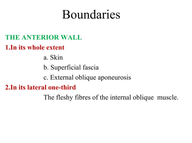 Anatomy of inguinal canal - Dr nesar Ahmad | PPT | Death, Injury, or ...
