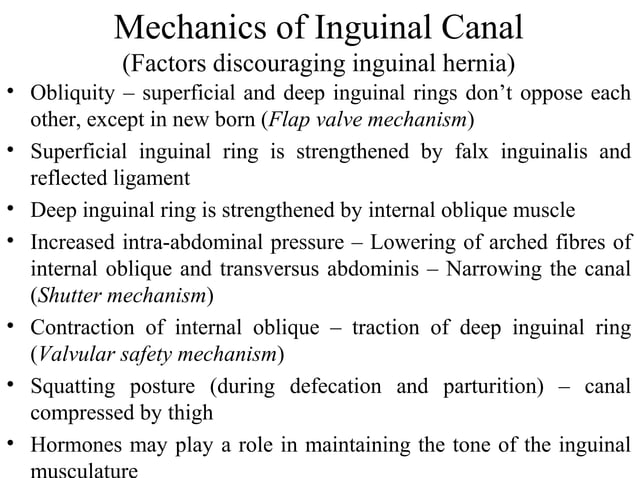 Anatomy of inguinal canal - Dr nesar Ahmad | PPT | Death, Injury, or ...