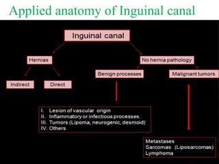 Anatomy of inguinal canal - Dr nesar Ahmad | PPT