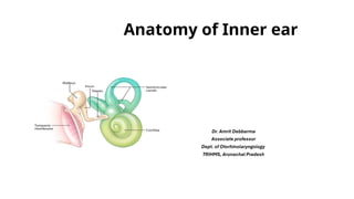 anatomy of inner ear-1 ent medicine mbbs | PPTX