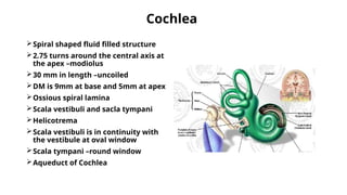 anatomy of inner ear-1 ent medicine mbbs | PPT