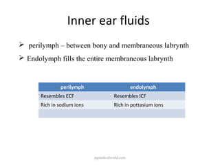 Anatomy of inner ear | PPT