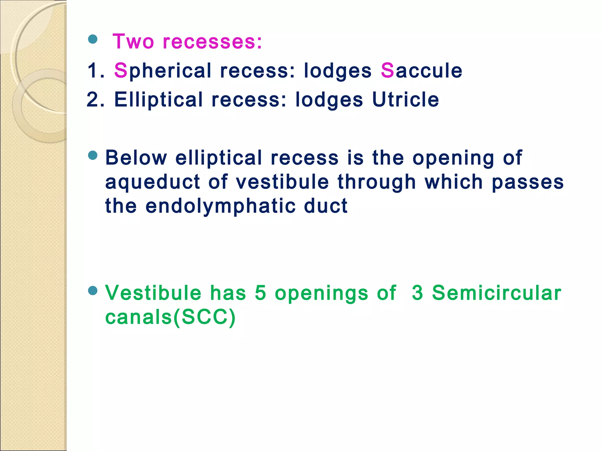 Anatomy of inner ear | PPT
