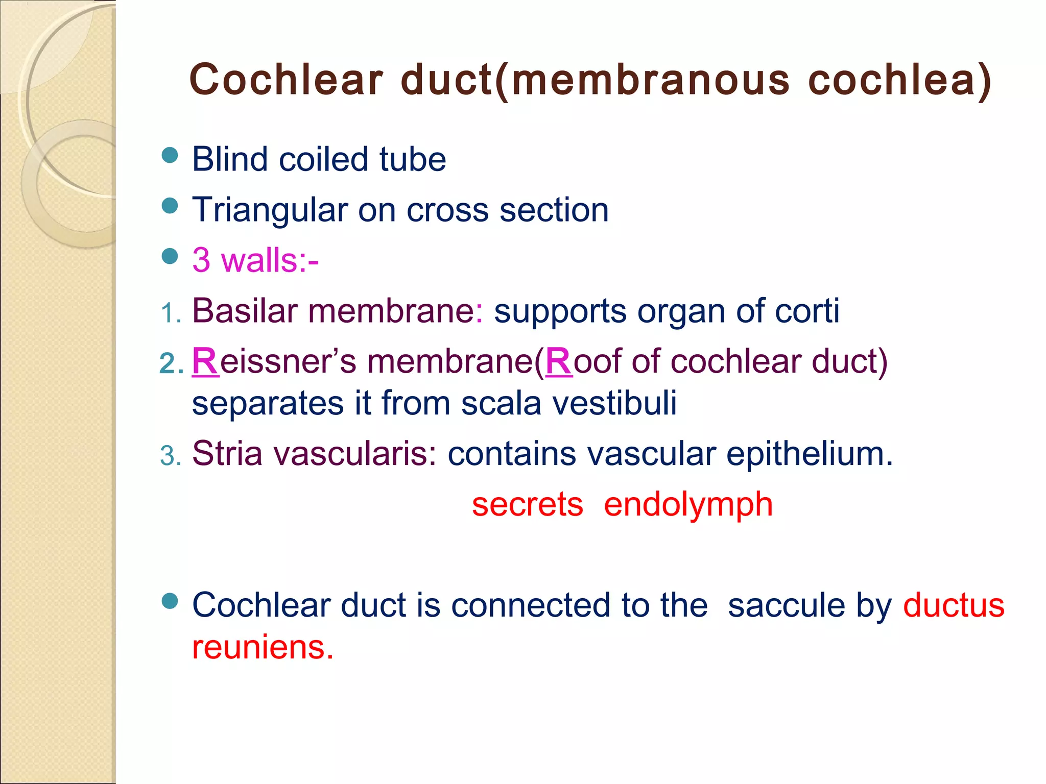 Anatomy of inner ear | PPT