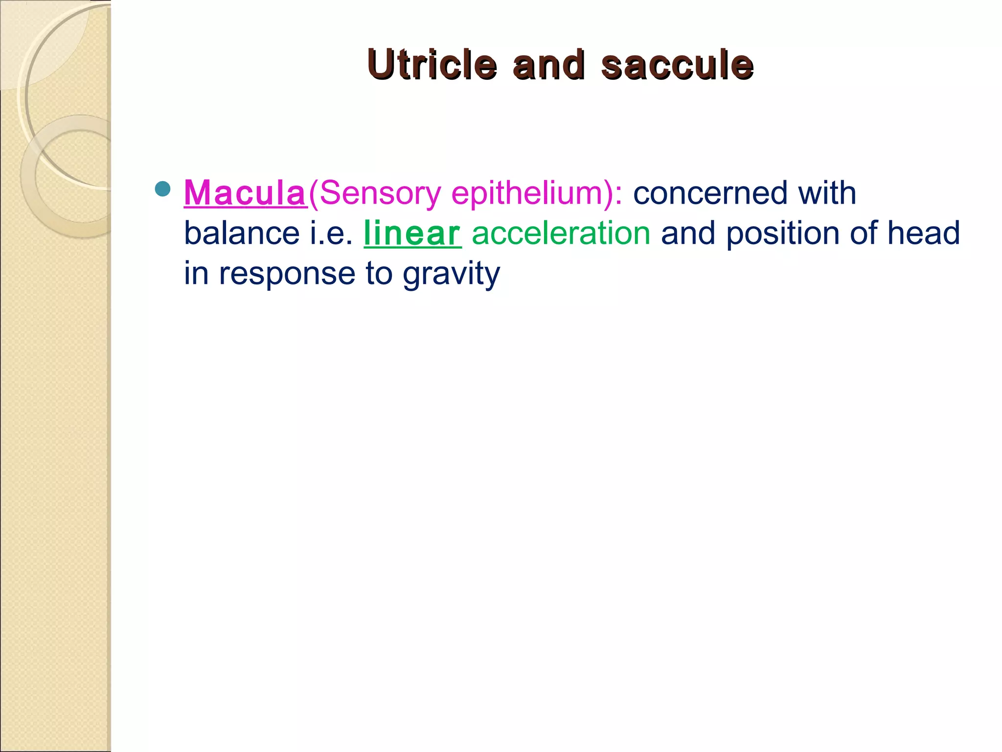 Anatomy of inner ear | PPT