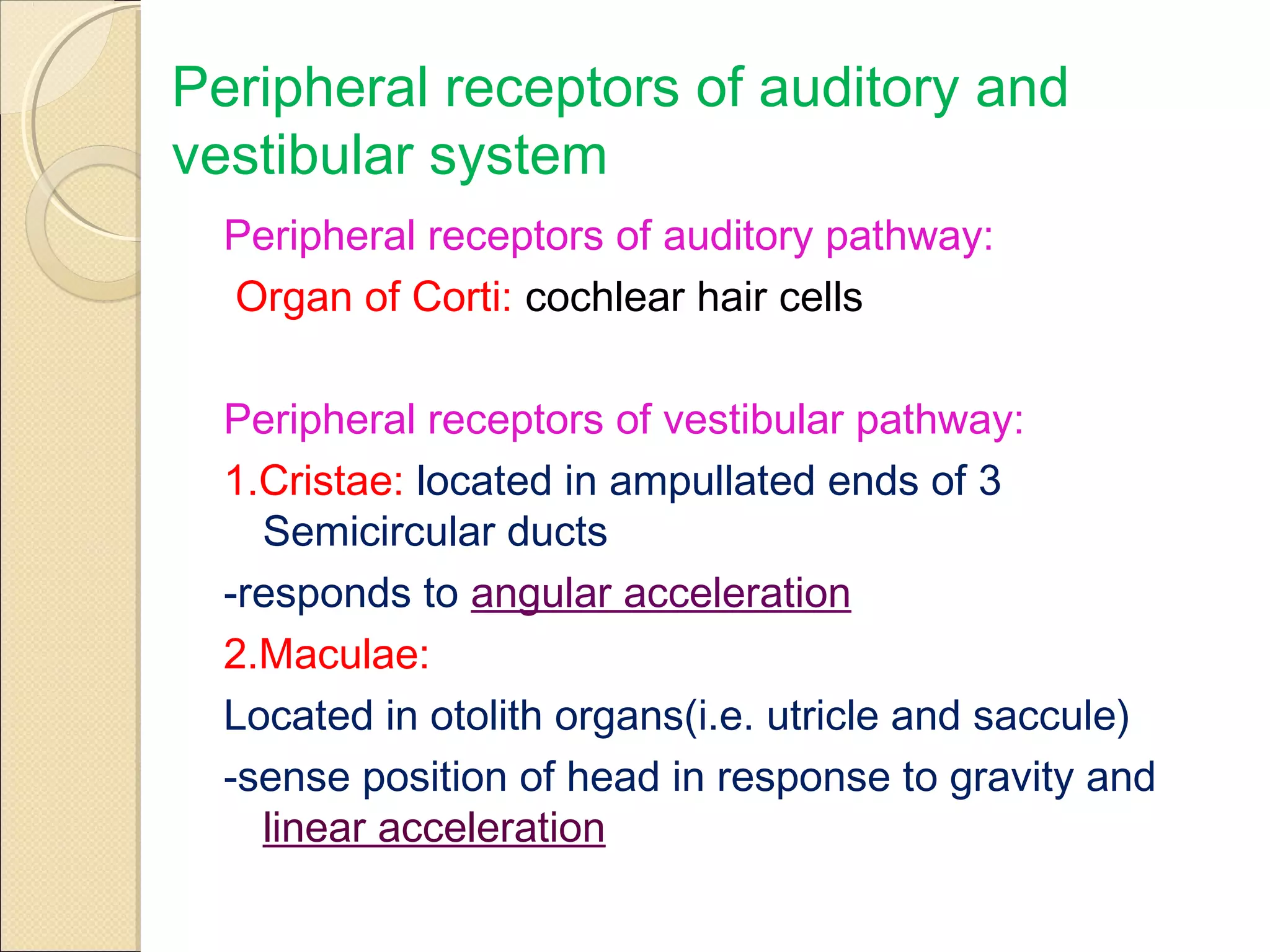 Anatomy of inner ear | PPT