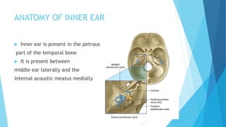 Anatomy of inner ear | PPTX