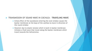 Anatomy of inner ear | PPTX
