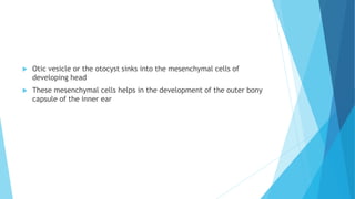 Anatomy of inner ear | PPTX