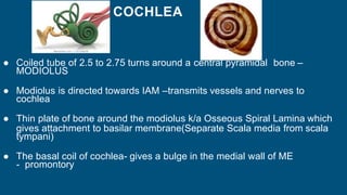 Anatomy of inner ear.pptx