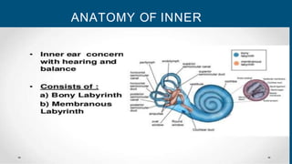 Anatomy of inner ear.pptx